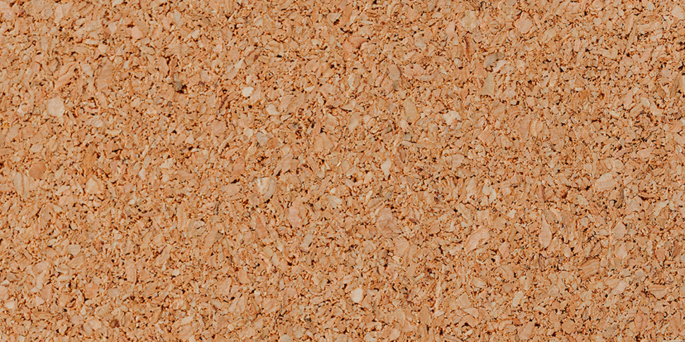 Cork: A complete guide to this unique natural material