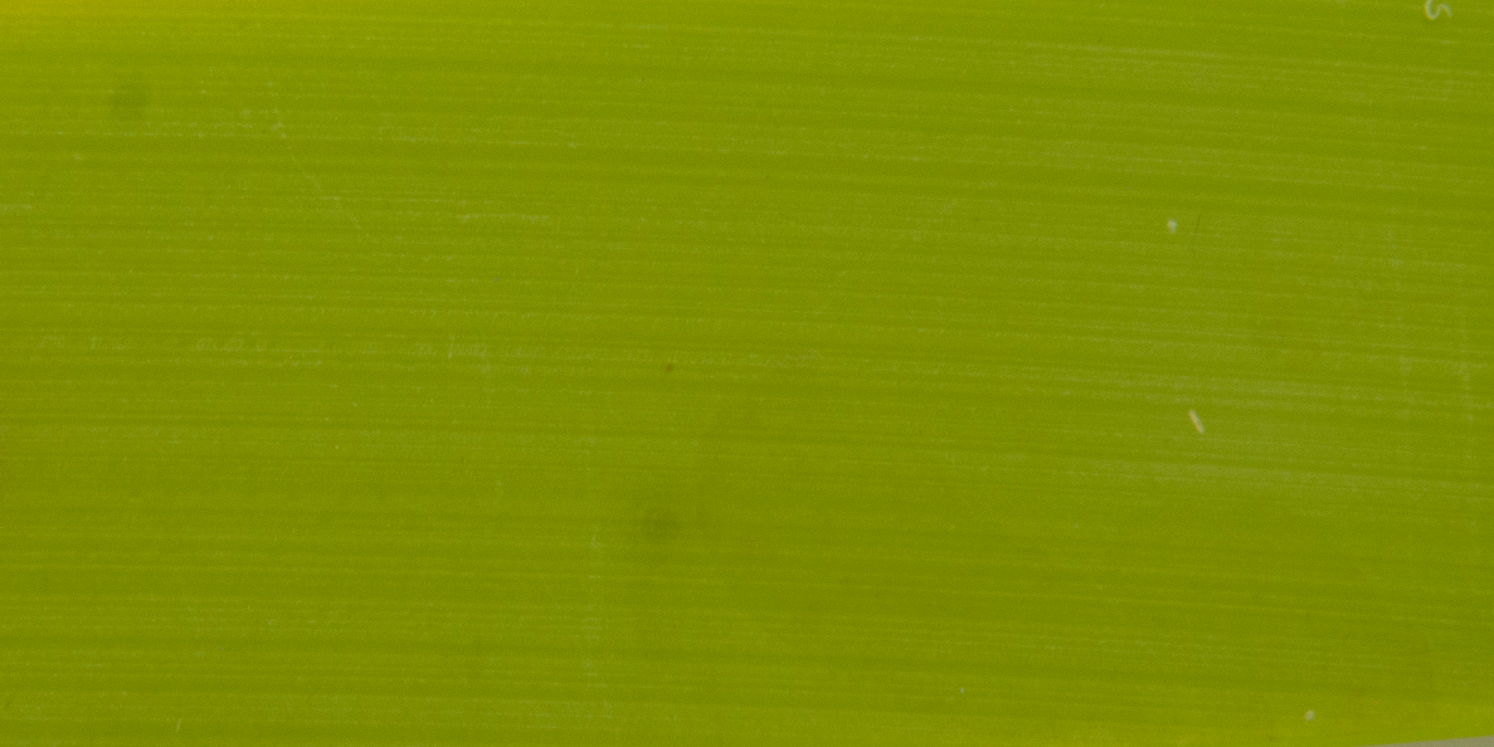 Nyloil: The guide to high-performance self-lubricating nylon